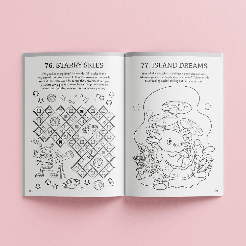 101 Puzzles Books — Toycra