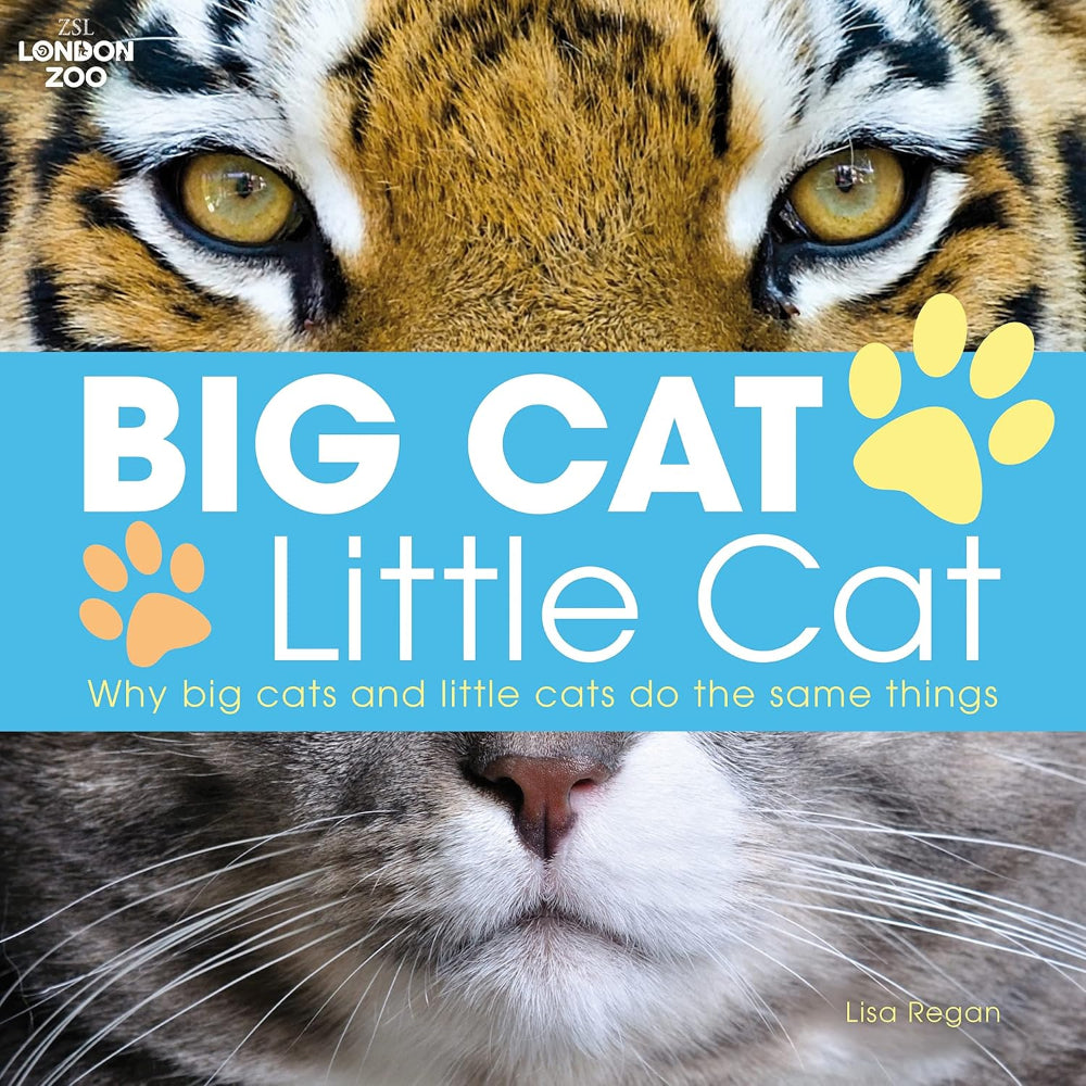 Big Cat Little Cat — Toycra