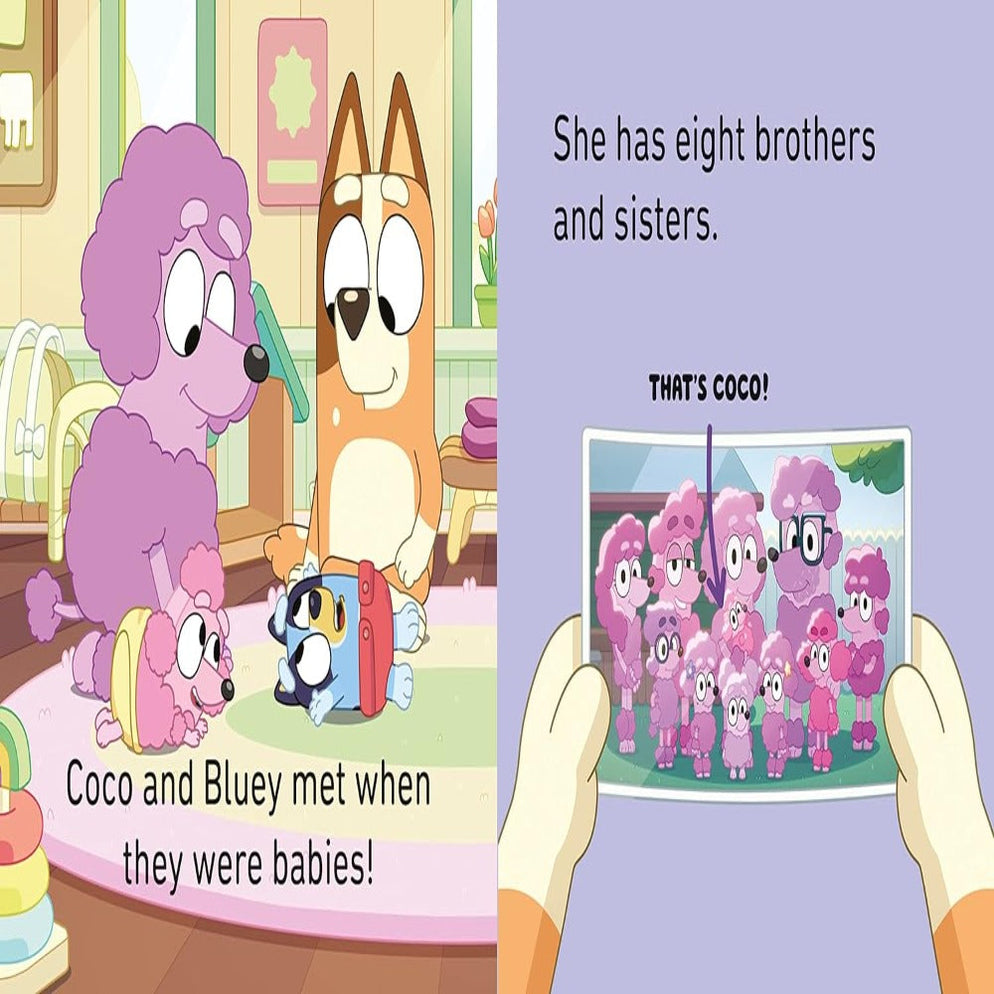 Bluey : Little Library — Toycra