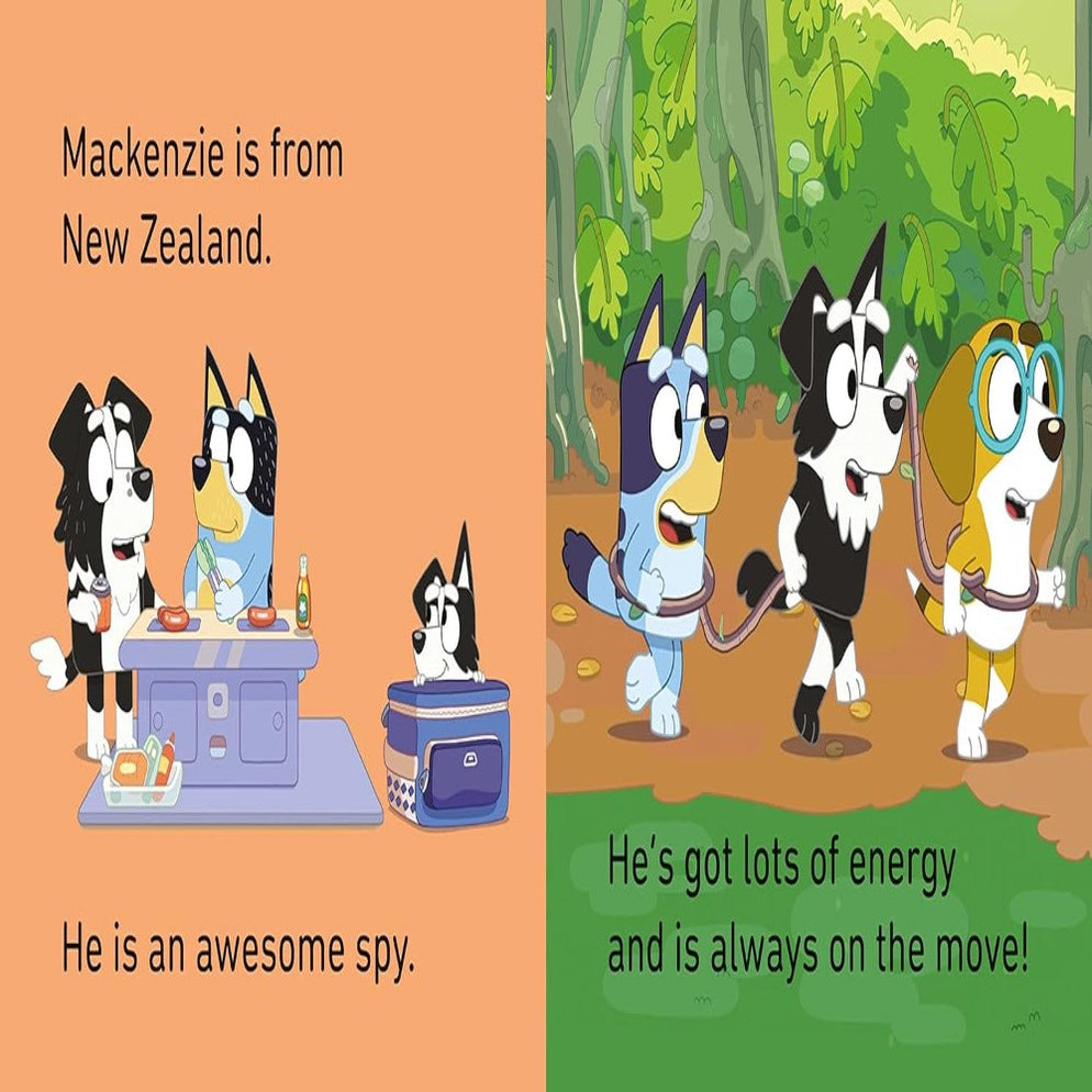 Bluey : Little Library — Toycra