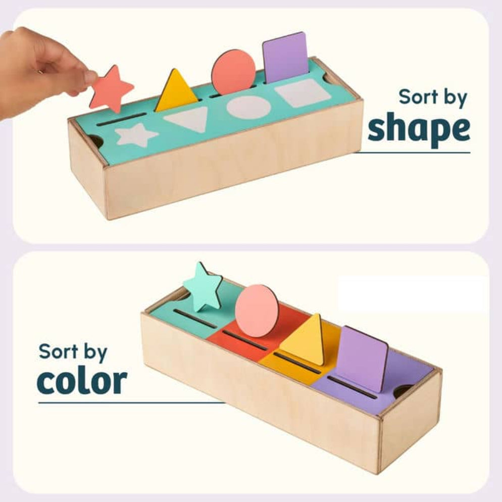 Curious Cub Shape & Color Sorter — Toycra