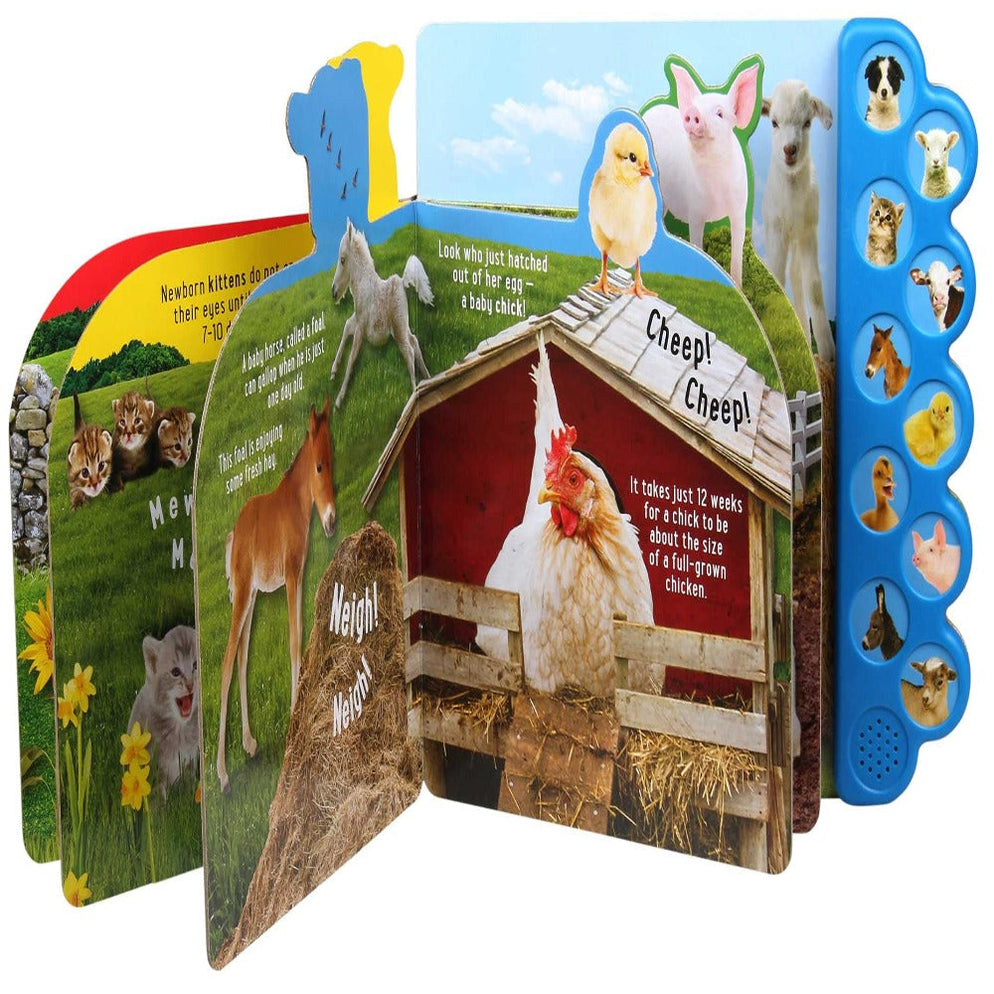 Discovery Sound Book — Toycra