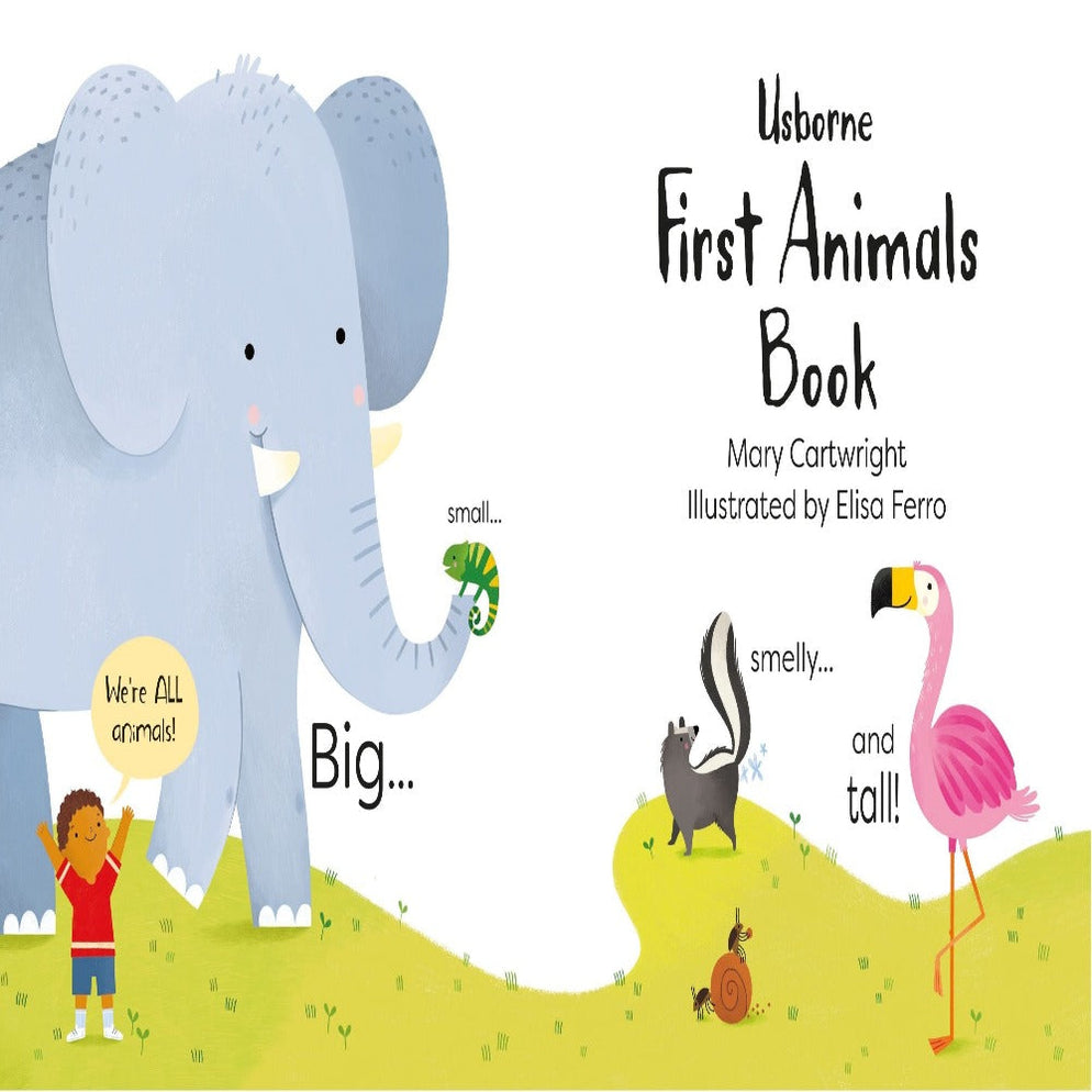 First Animals Book — Toycra