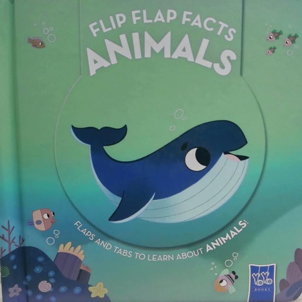 Flip Flap Facts Books | Buy Online at Toycra