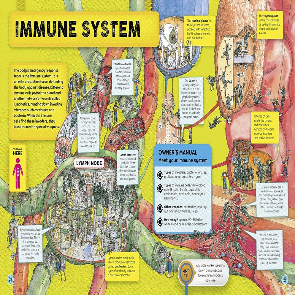 Human Body Factory — Toycra