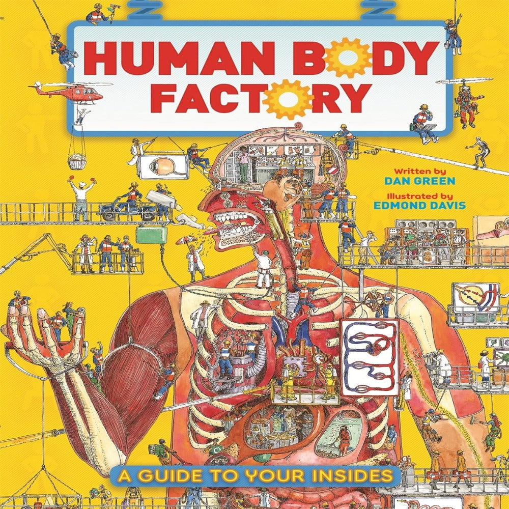 Human Body Factory — Toycra