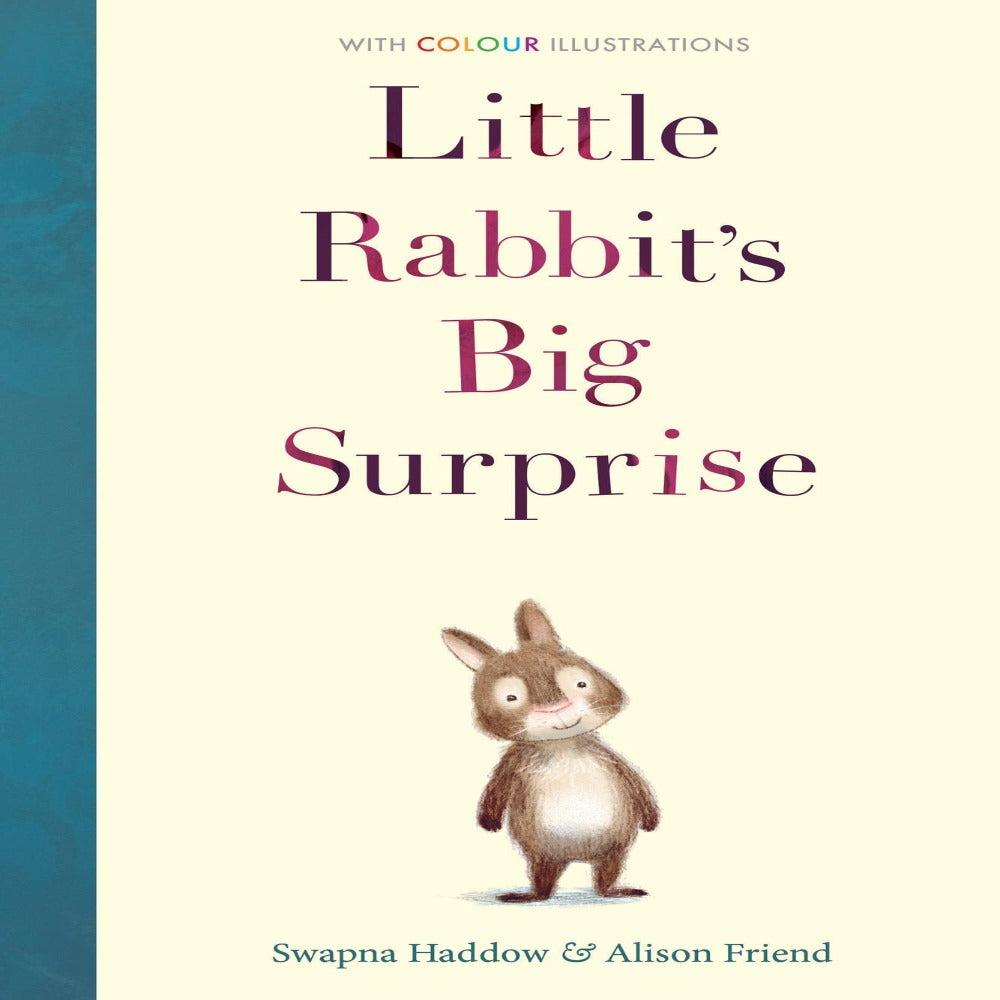 Little Rabbit's Big Surprise — Toycra