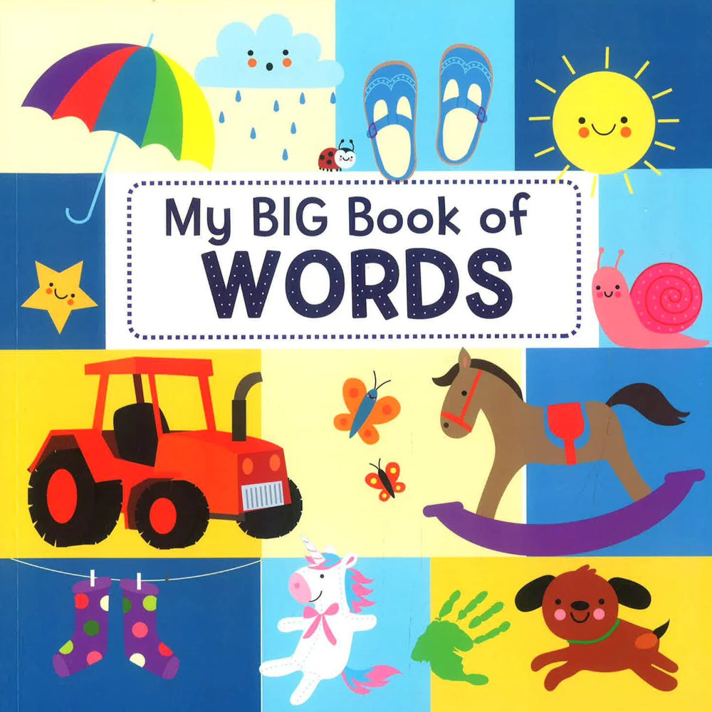 My Big Book Of Words — Toycra