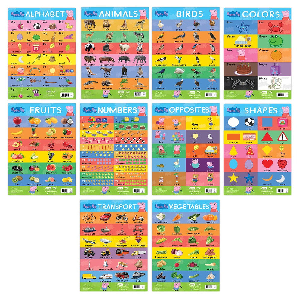 My First Early Learning Charts (10 Charts) — Toycra