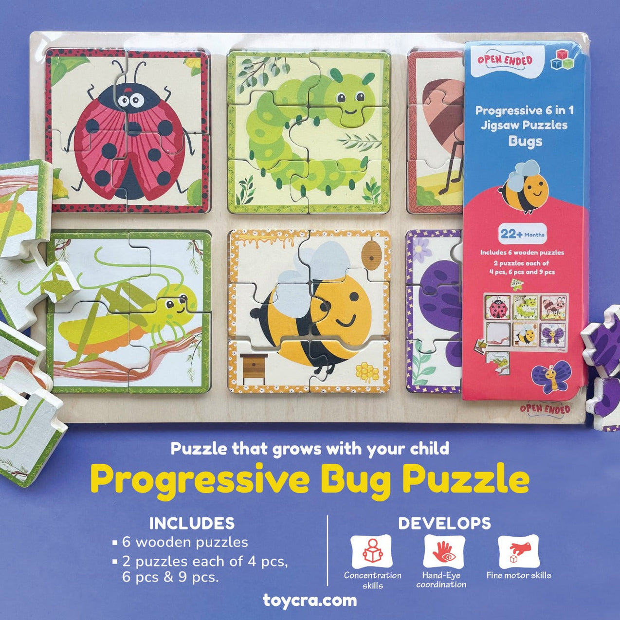 Open Ended Progressive 6 IN 1 Bug Puzzle — Toycra