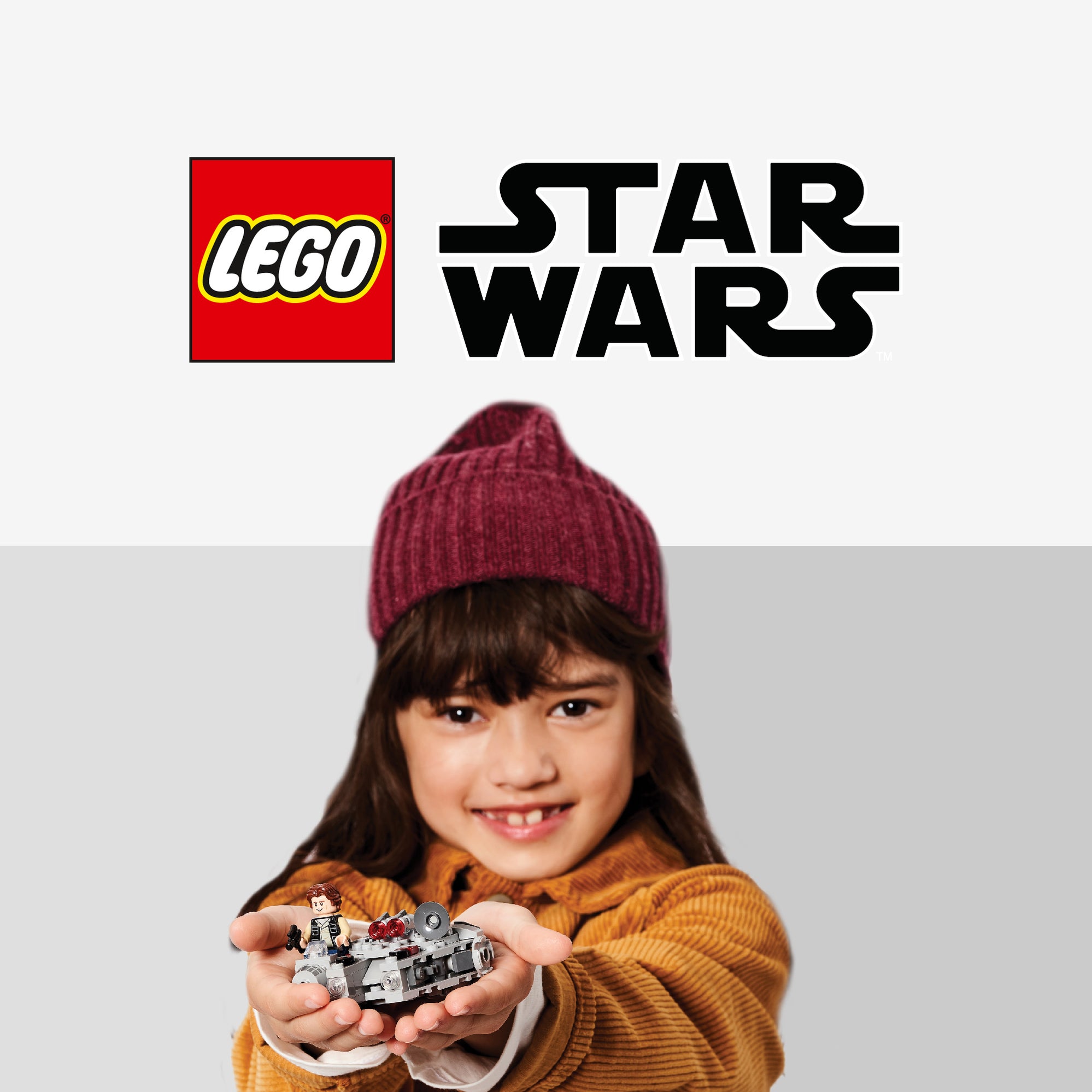Buy Lego Toys Online at Best Prices in India — Toycra