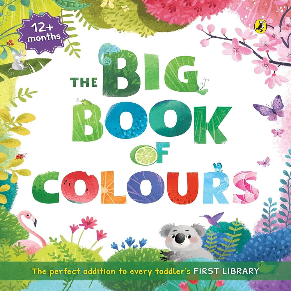The Big Book Of Colours — Toycra