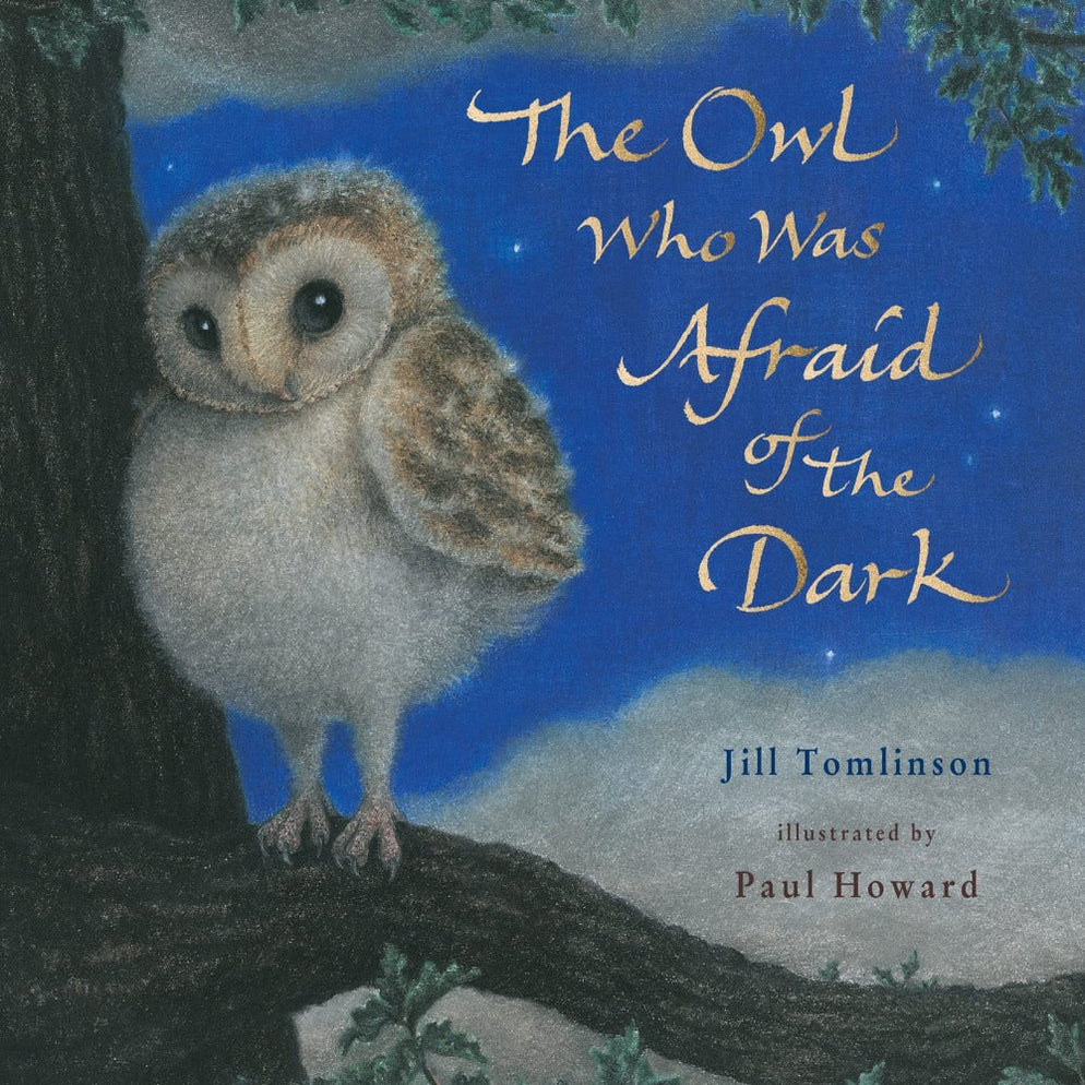 The Owl Who Was Afraid Of The Dark — Toycra
