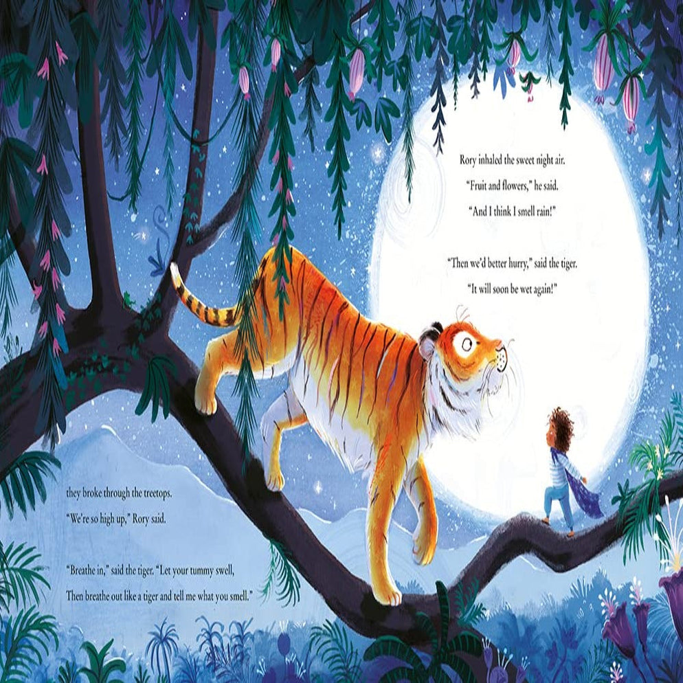 The Worry Tiger — Toycra