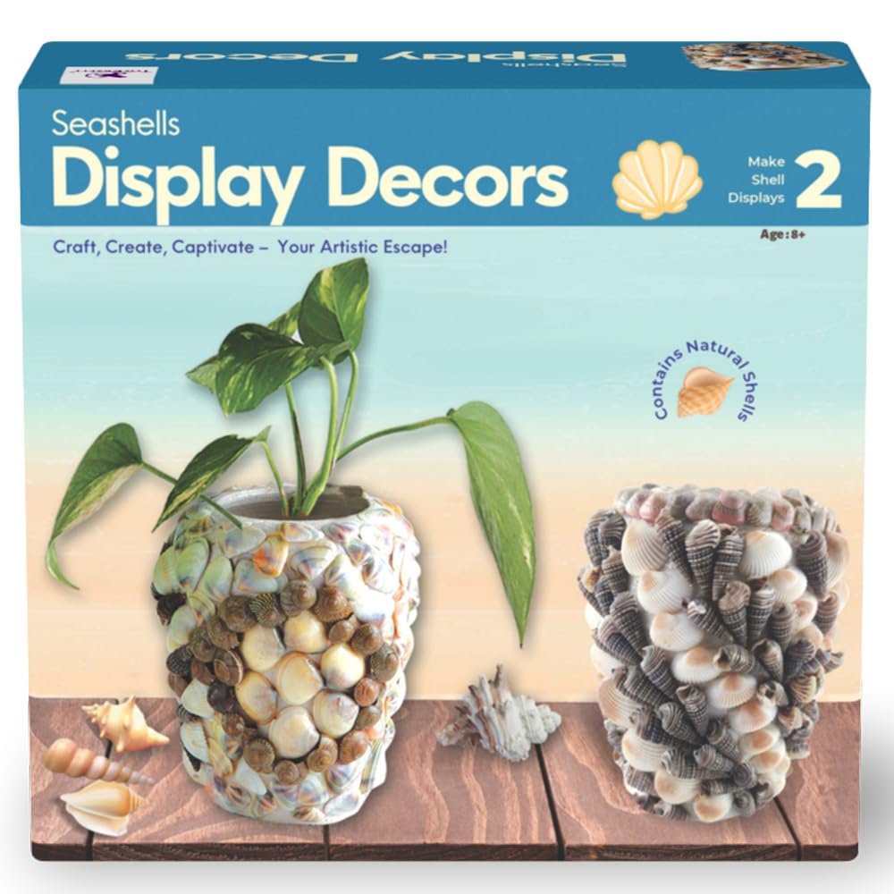 Toykraft Seashells Display Decors DIY Kit — Toycra