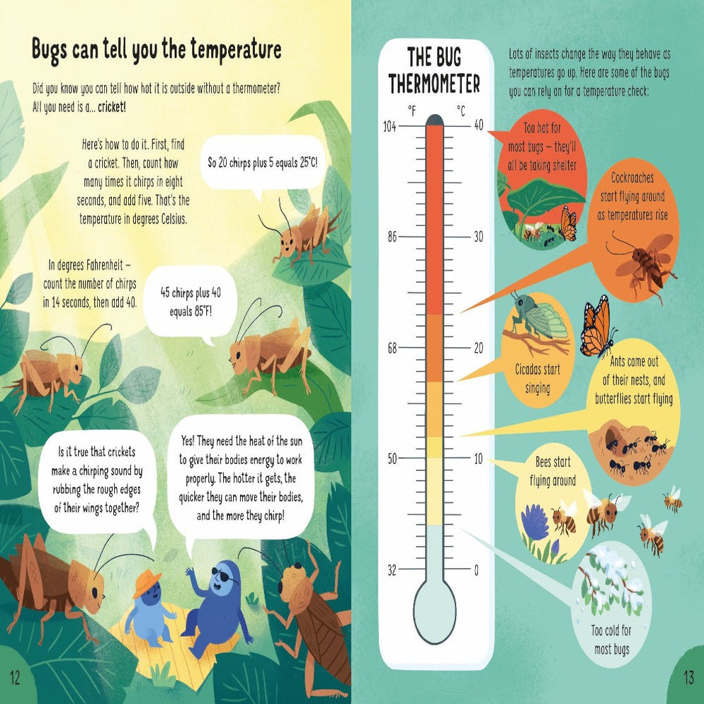Usborne Lots Of Things To Know About Weather — Toycra