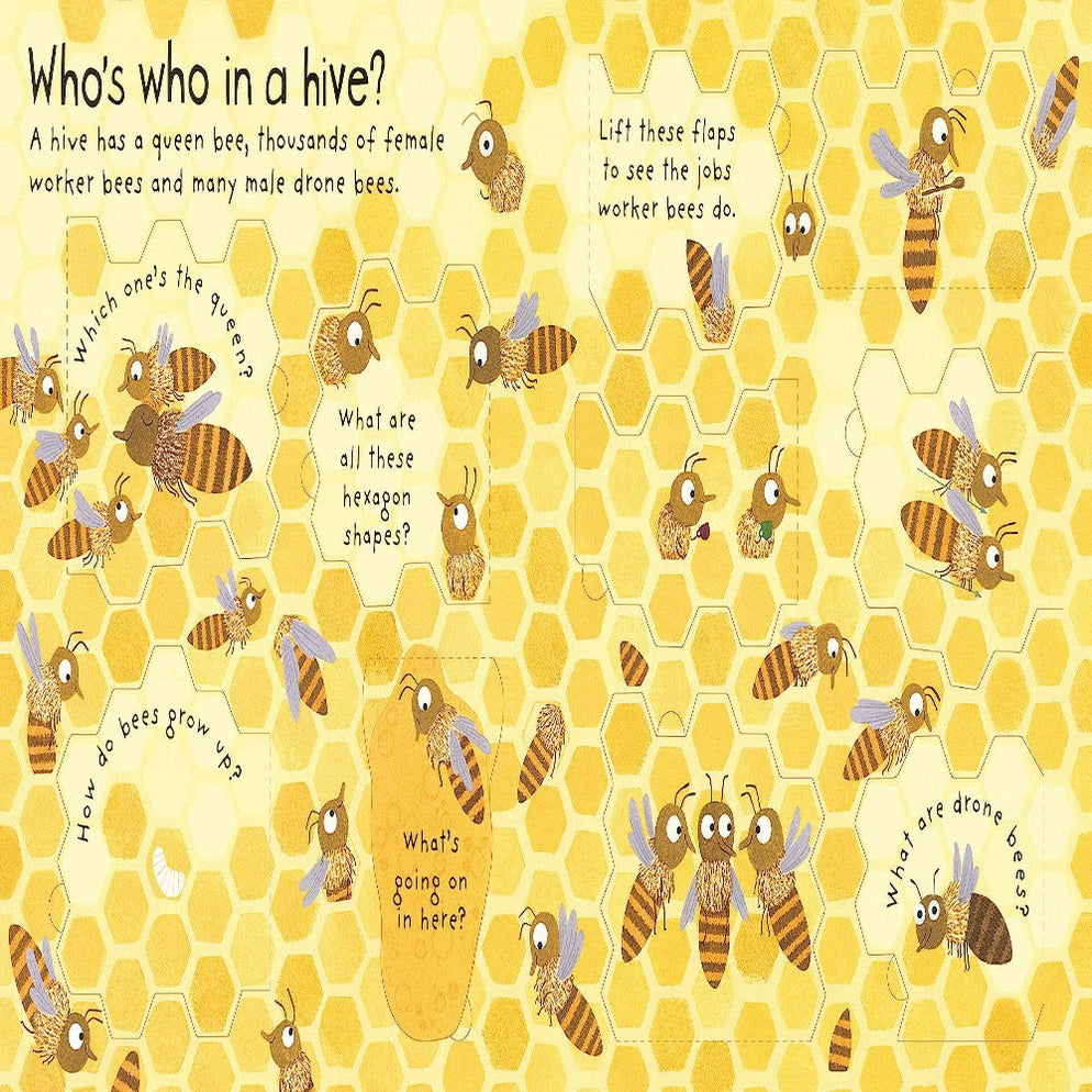 Why Do We Need Bees? — Toycra